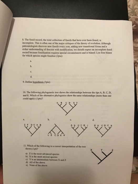 Solved Introduction to Evolution Worksheet 1 Name & ID: | Chegg.com