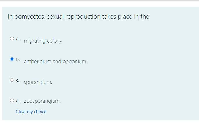 Solved In oomycetes, sexual reproduction takes place in the | Chegg.com