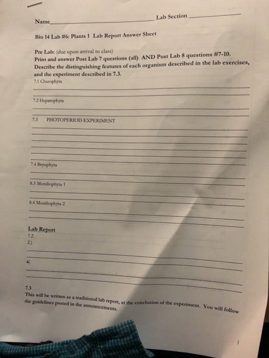 Solved Lab Section Name Bio 14 Lab #6: Plants 1 Lab Report | Chegg.com