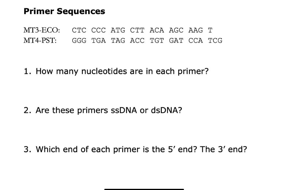 Solved 1. How many nucleotides are in each primer? 2. Are | Chegg.com