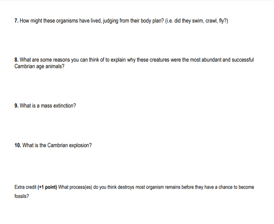 Solved Examine the Trilobite specimens below. Specimen A | Chegg.com