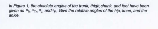 Solved In Figure 1, the absolute angles of the trunk, thigh, | Chegg.com