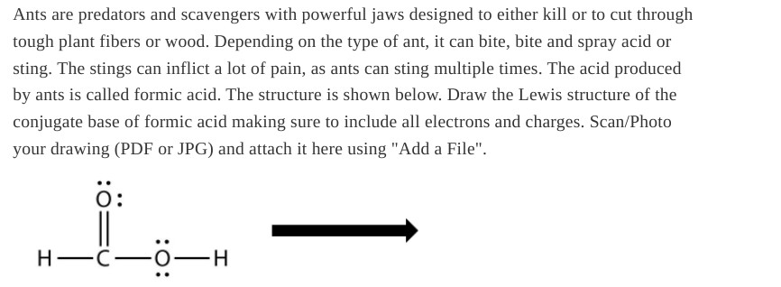 Solved Ants are predators and scavengers with powerful jaws | Chegg.com