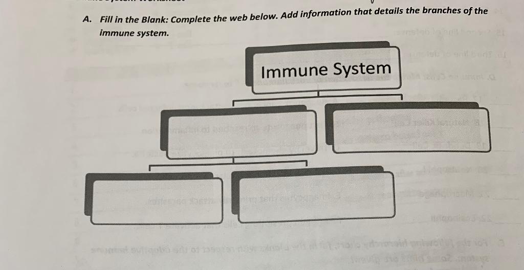 Solved A. Fill in the Blank: Complete the web below. Add | Chegg.com