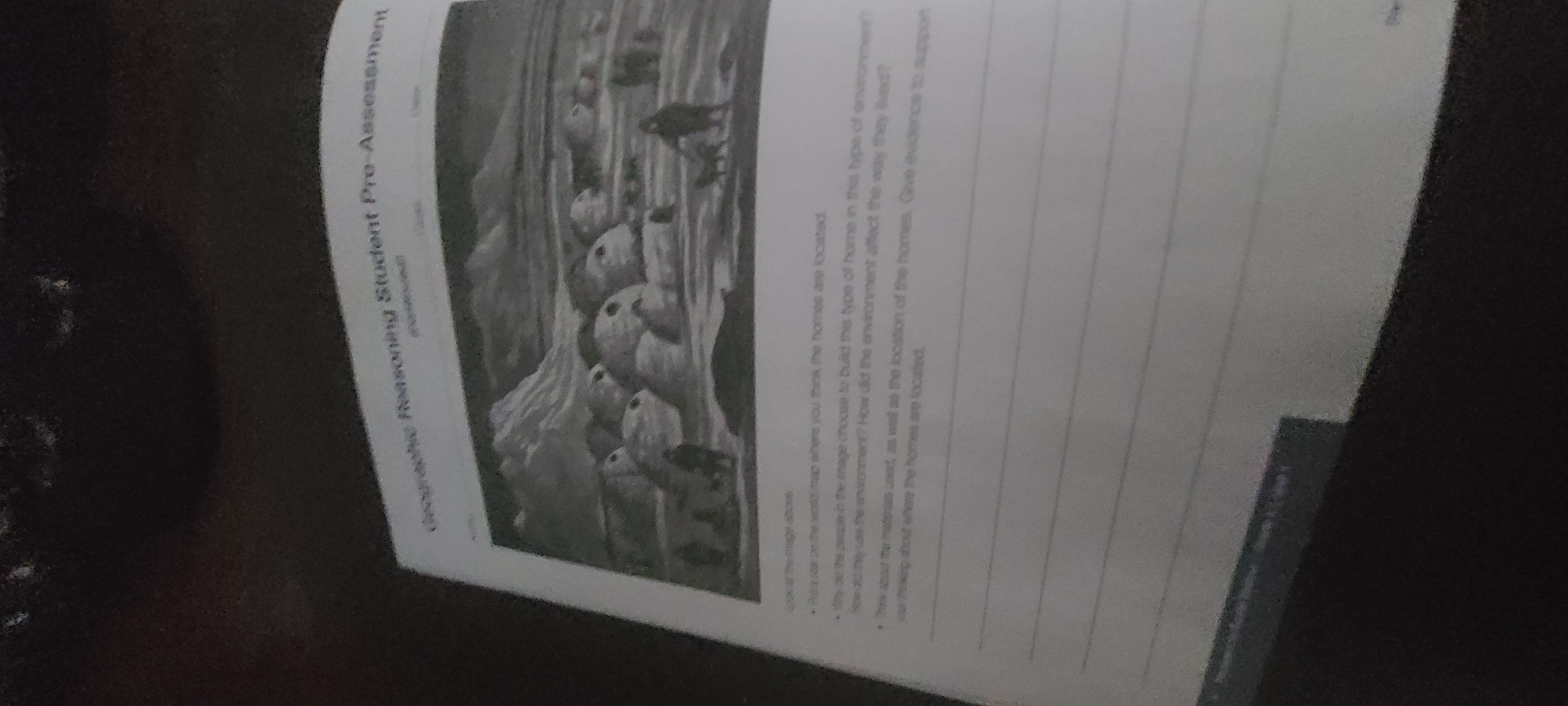 Solved Geographic Reasoning Student Pre-Assessm (continued) | Chegg.com