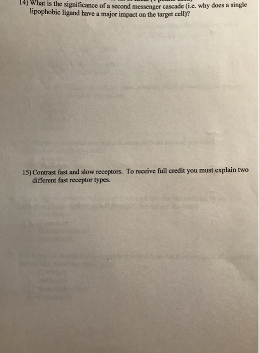 Solved Could you please be thorough in answering | Chegg.com