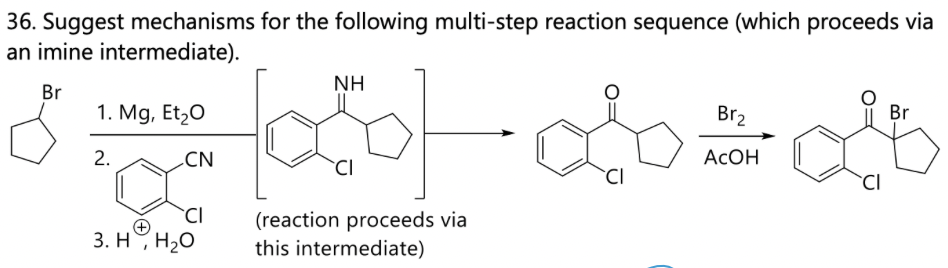 Solved Suggest mechanisms for the following multi-step | Chegg.com