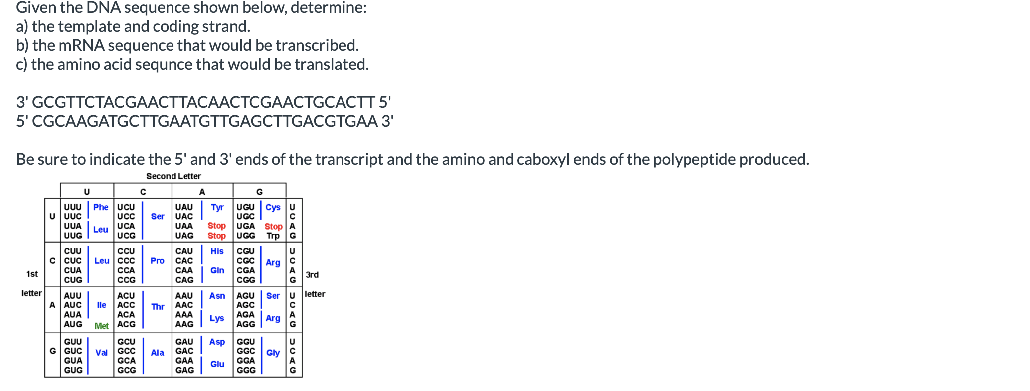 Solved Given the DNA sequence shown below, determine: a) the | Chegg.com
