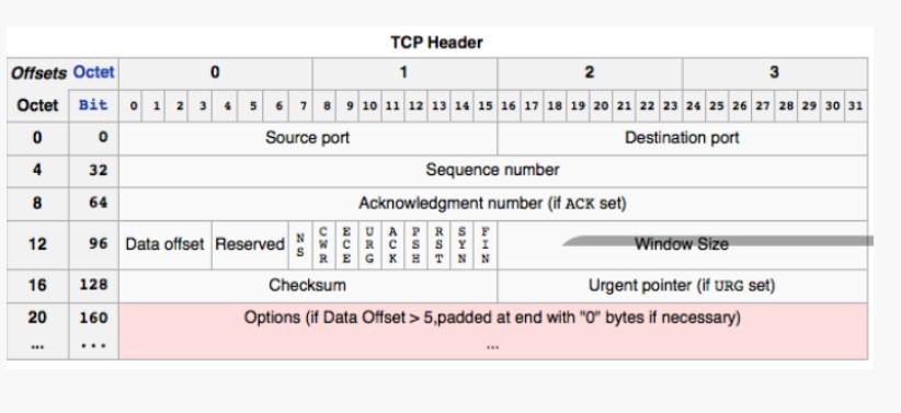 Solved Assuming no options are present in the IP header and | Chegg.com