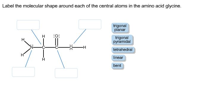 Solved Label the molecular shape around each of the central | Chegg.com