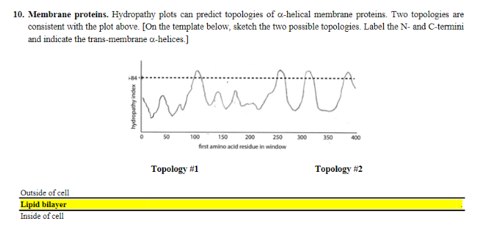 Solved 10. Membrane proteins. Hydropathy plots can predict | Chegg.com