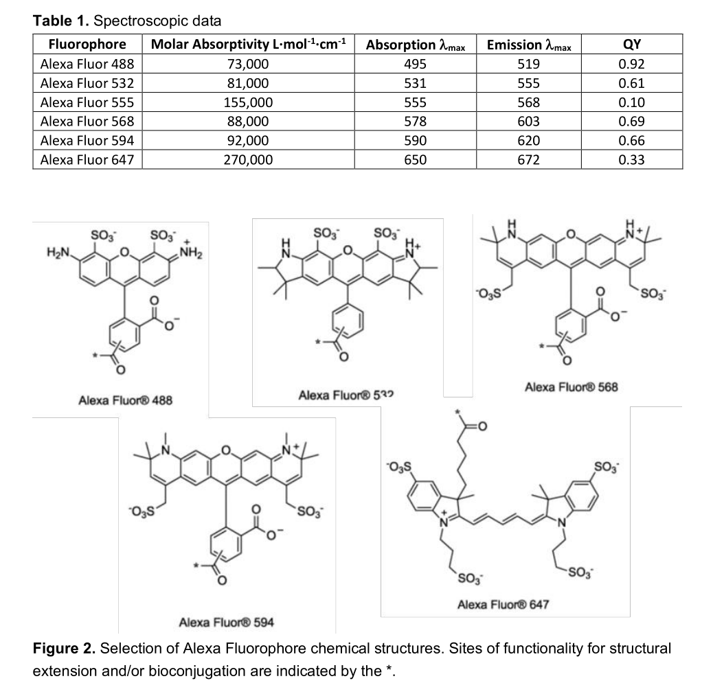 Solved Task 1 – Select the absorption spectra of Alexa 488 | Chegg.com
