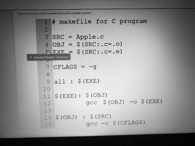 Solved Cick on the part of the makefile that is the compiler | Chegg.com