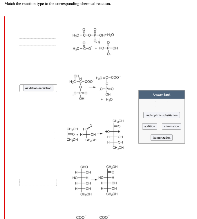 Solved Match the reaction type to the corresponding chemical | Chegg.com