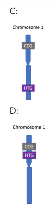 Solved In jackalopes, horn-type and coat color are both | Chegg.com