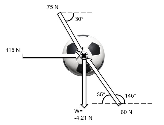 Solved a. What is the mass of the object? b. what is the | Chegg.com