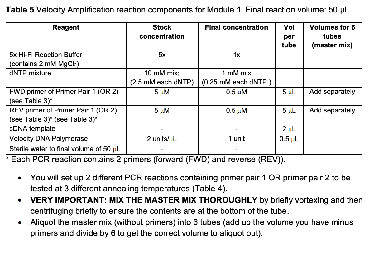 Solved Table 5 Velocity Amplification reaction components | Chegg.com