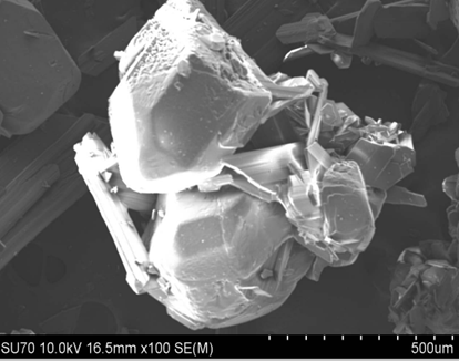 interpret the below crystal image taken in SEM. | Chegg.com