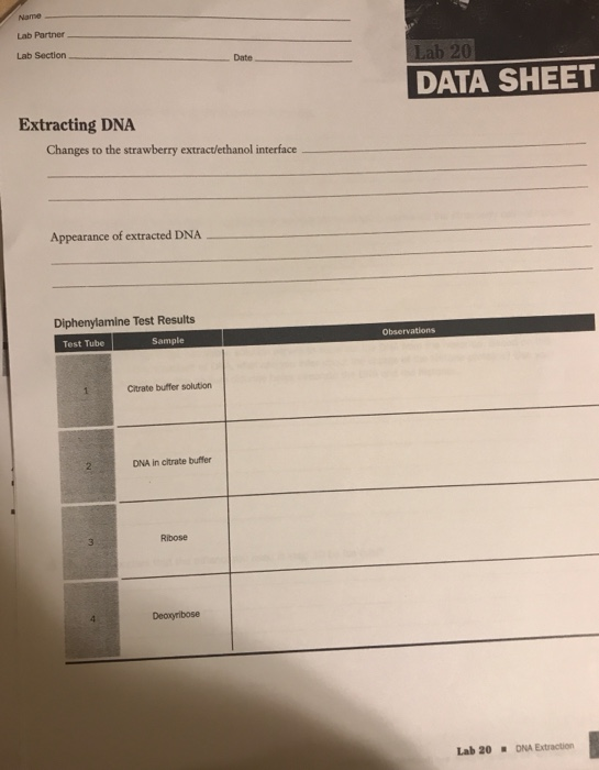 Lab Partner Lab Section Date DATA SHEET Extracting | Chegg.com Lab Partner Lab Section Date DATA SHEET Extracting | Chegg.com