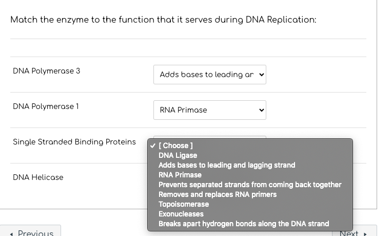 Solved Match the enzyme to the function that it serves | Chegg.com