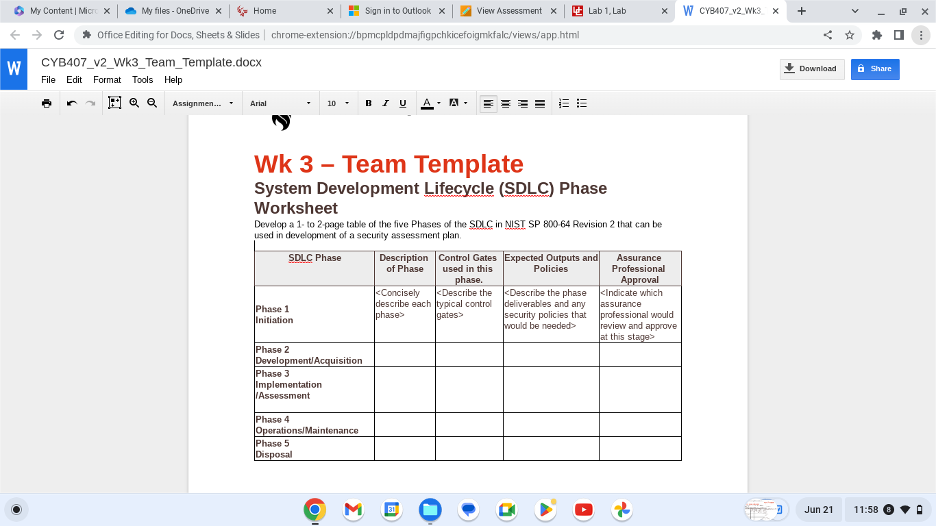 Solved Wk 3 - Team Template System Development Lifecycle | Chegg.com