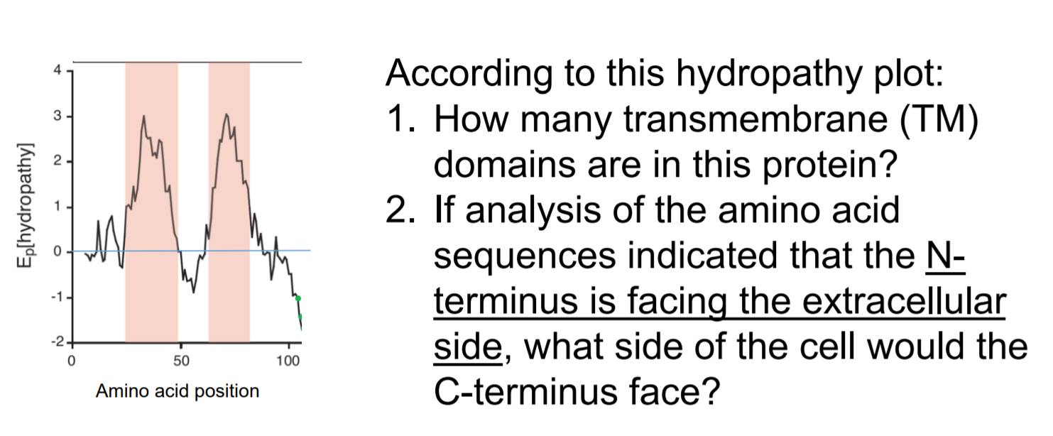Solved According to this hydropathy plot: 1. How many | Chegg.com