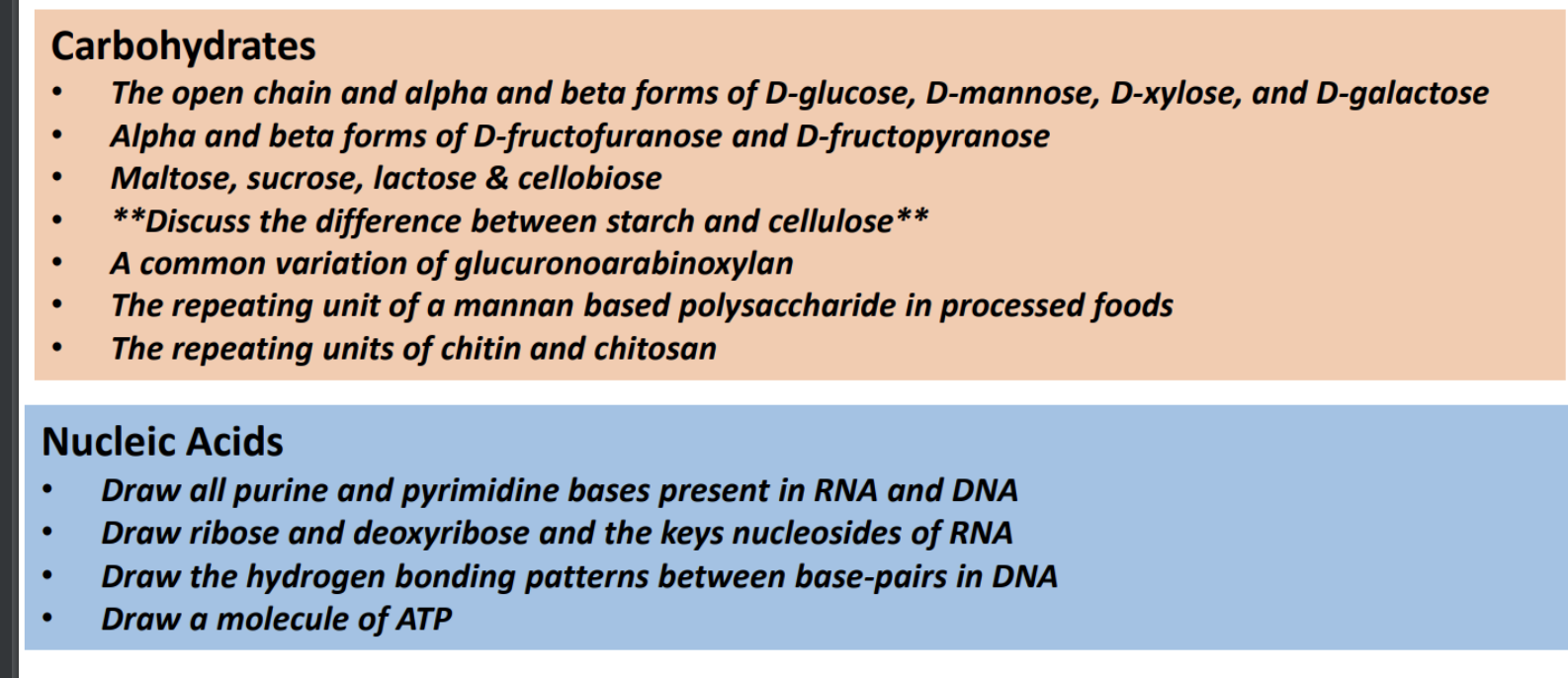 Solved . Carbohydrates The open chain and alpha and beta | Chegg.com