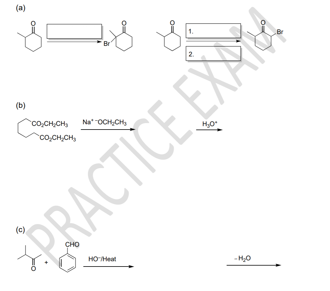 Solved (a) 1. Br Br (b) Nat -OCH2CH3 ca CO2CH2CH3 CO2CH2CH3 | Chegg.com