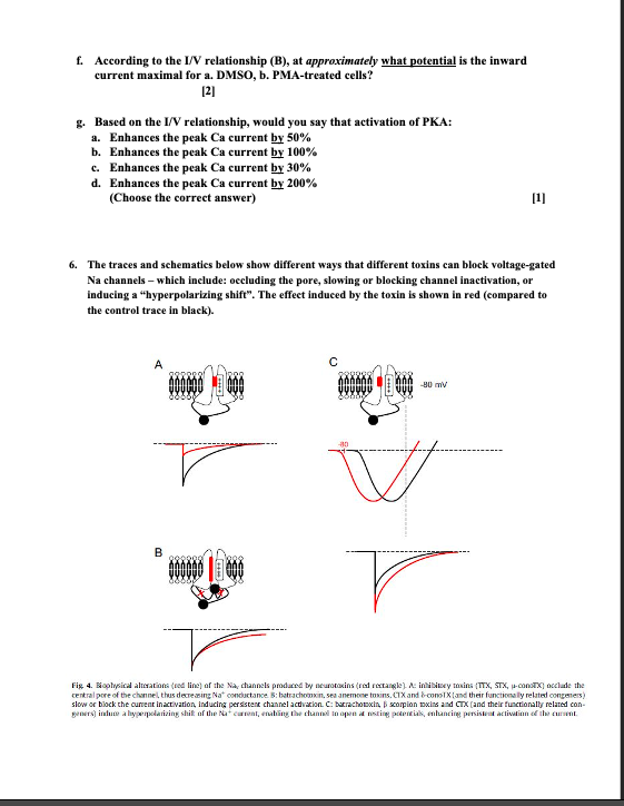 Solved 5. The raw traces (A) show Cat currents in a cell | Chegg.com