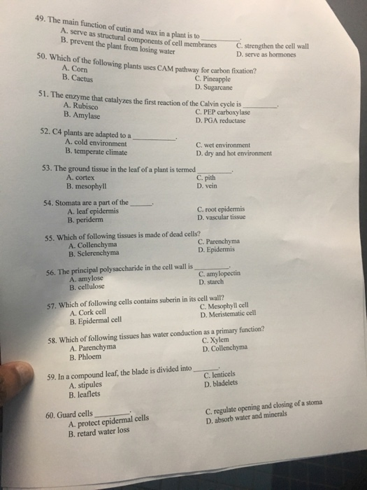 Solved 49. The main function of cutin and wax in a plant is | Chegg.com