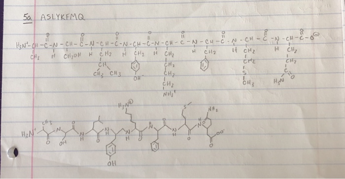 22+ Polypeptide Charge Calculator