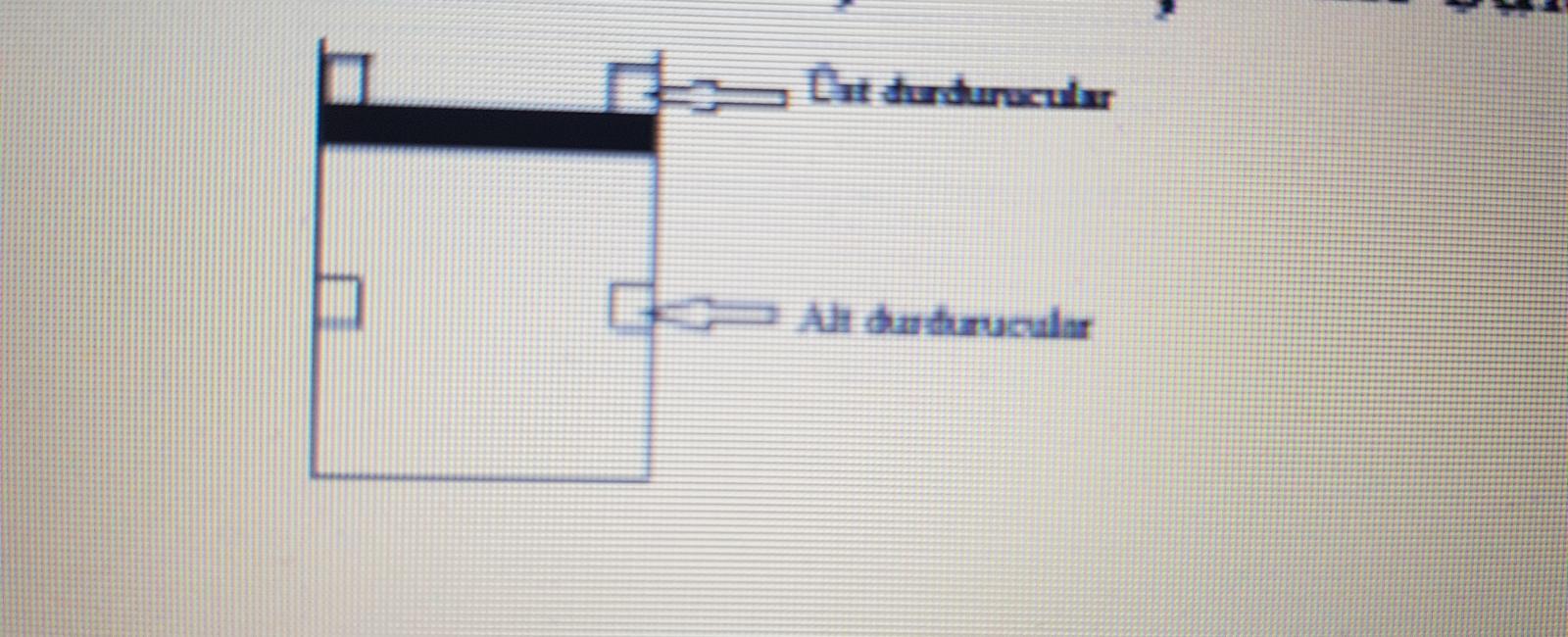Solved In a piston-cylinder assembly, as shown in the | Chegg.com