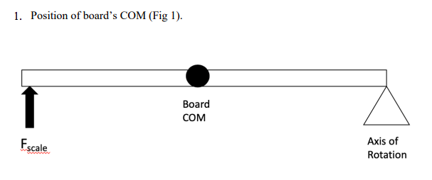 Draw a FBD of the board and person with arms by | Chegg.com