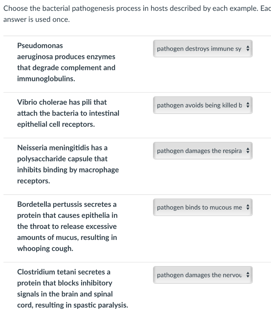 Choose the bacterial pathogenesis process in hosts | Chegg.com