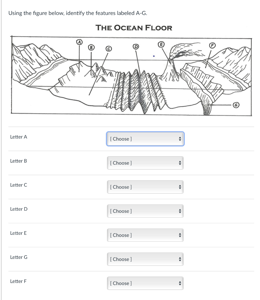 Ocean Floor Features Diagram
