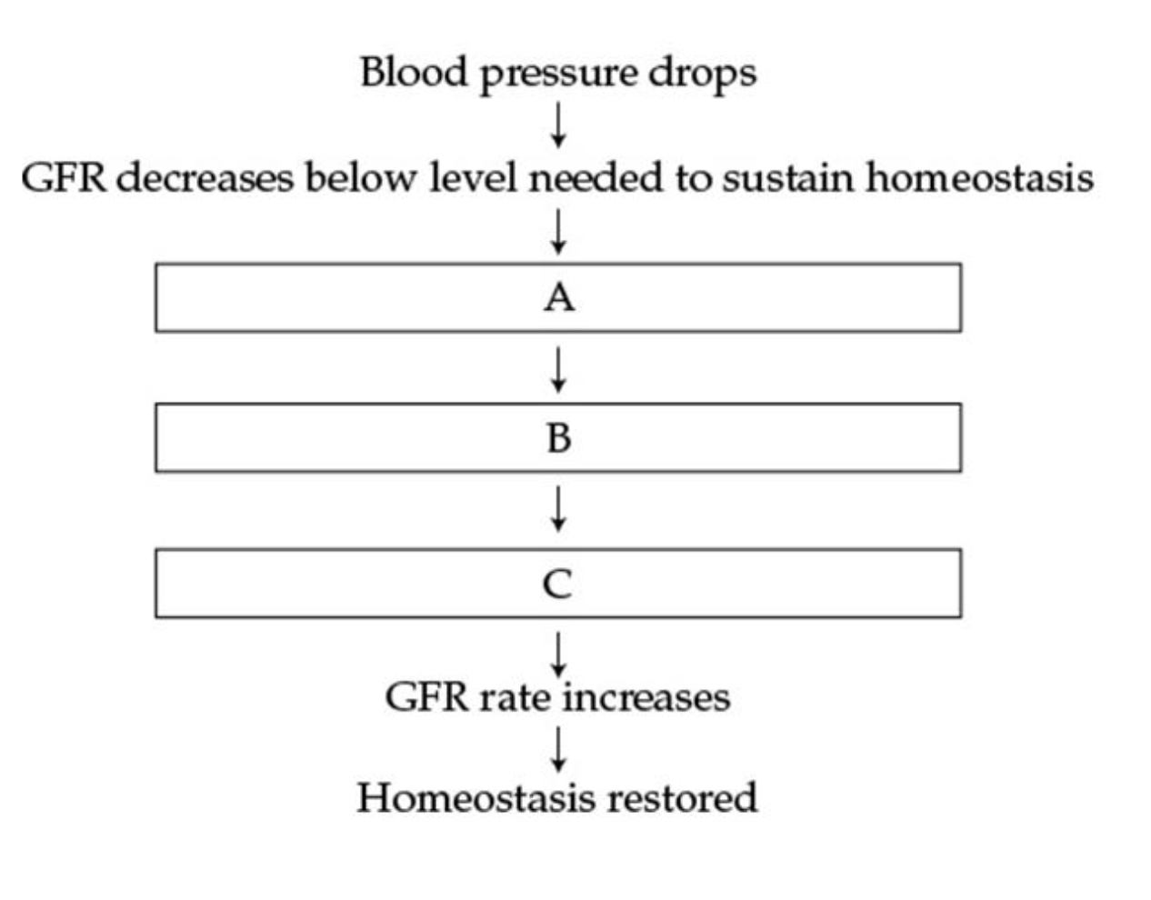 Solved Fill in the blanks to complete the flowchart | Chegg.com