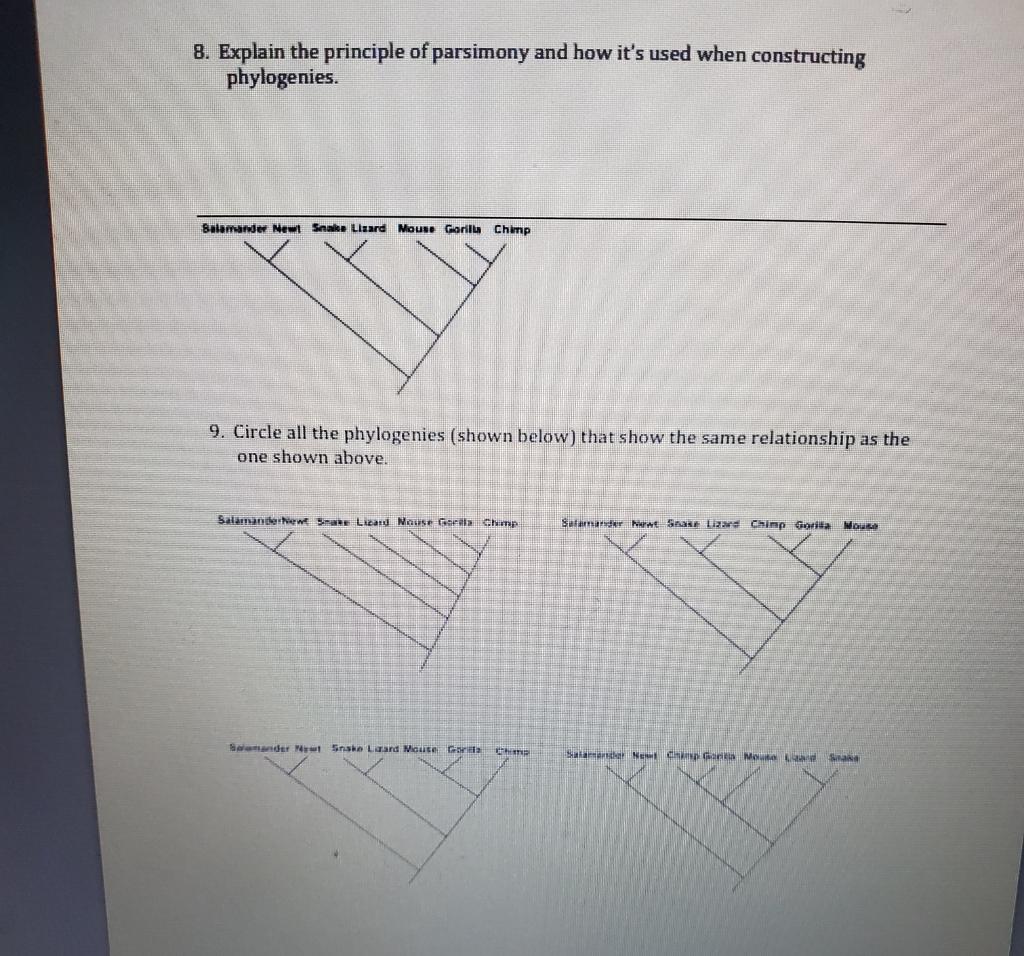 Solved 8. Explain the principle of parsimony and how it's | Chegg.com