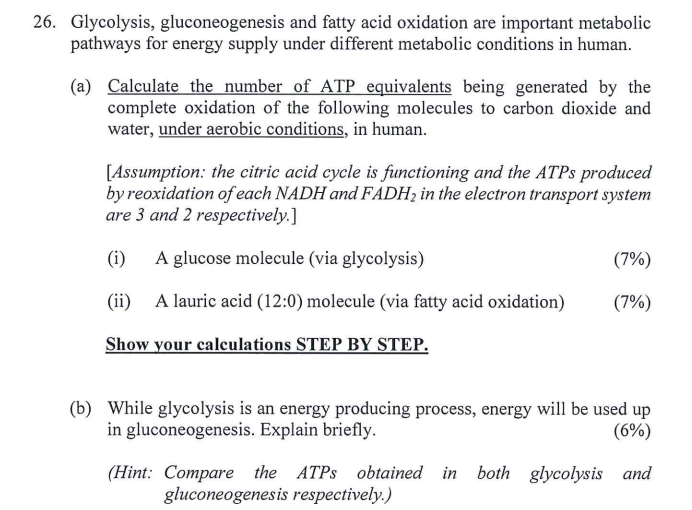 Solved 26. Glycolysis, gluconeogenesis and fatty acid | Chegg.com