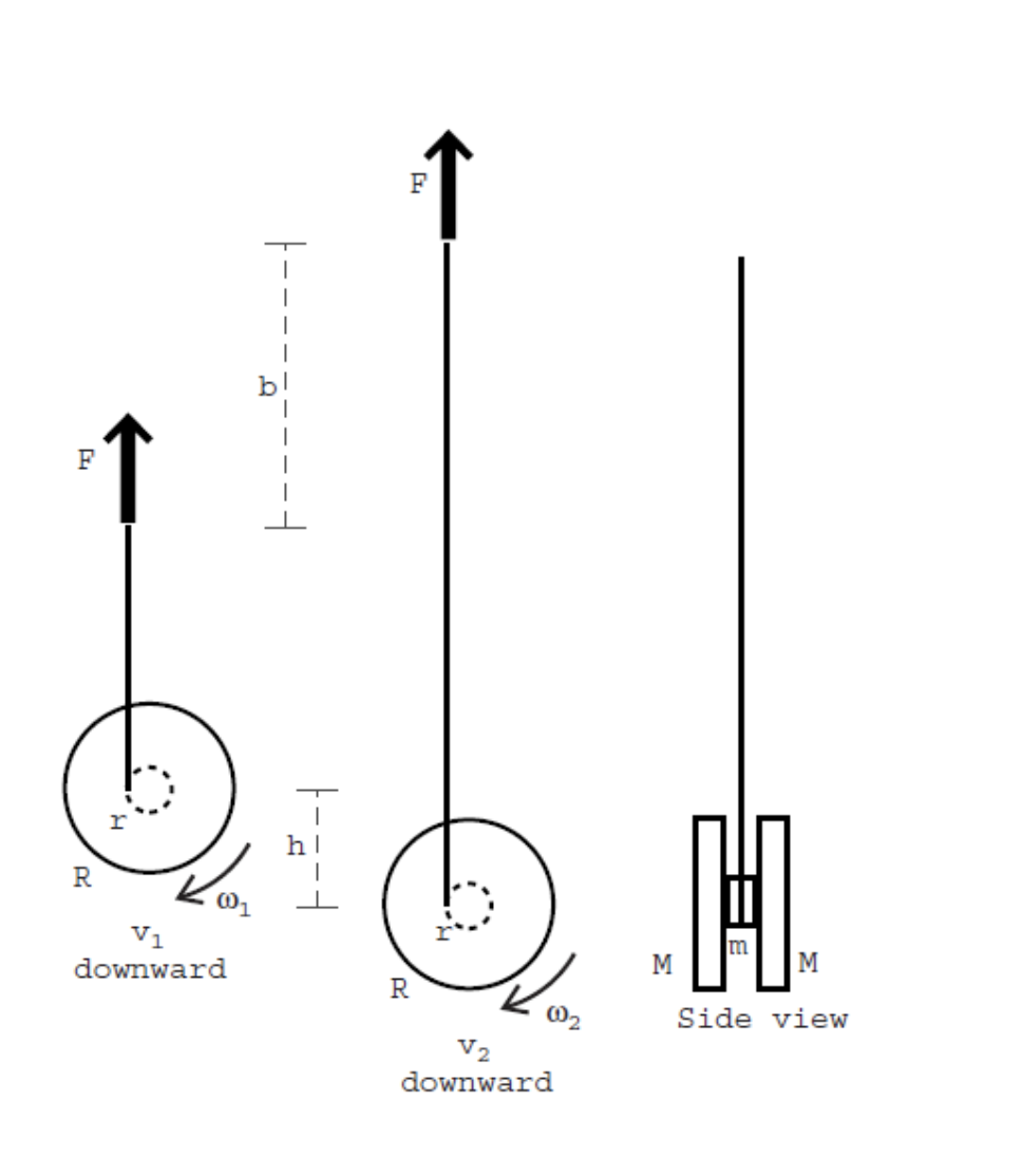 Solved A yoyo is a toy made of three uniform density disks | Chegg.com