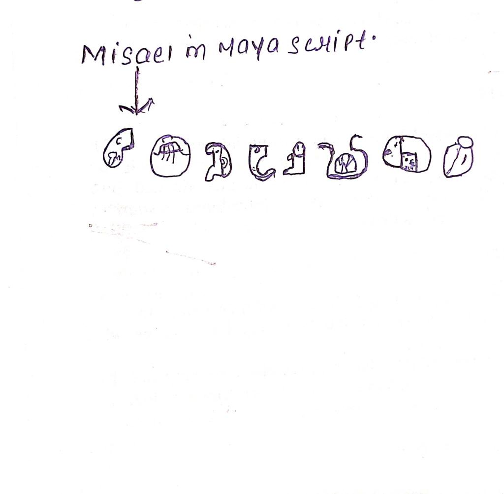 Solved Misael in maya script. (im) वृ20 20 (i) | Chegg.com