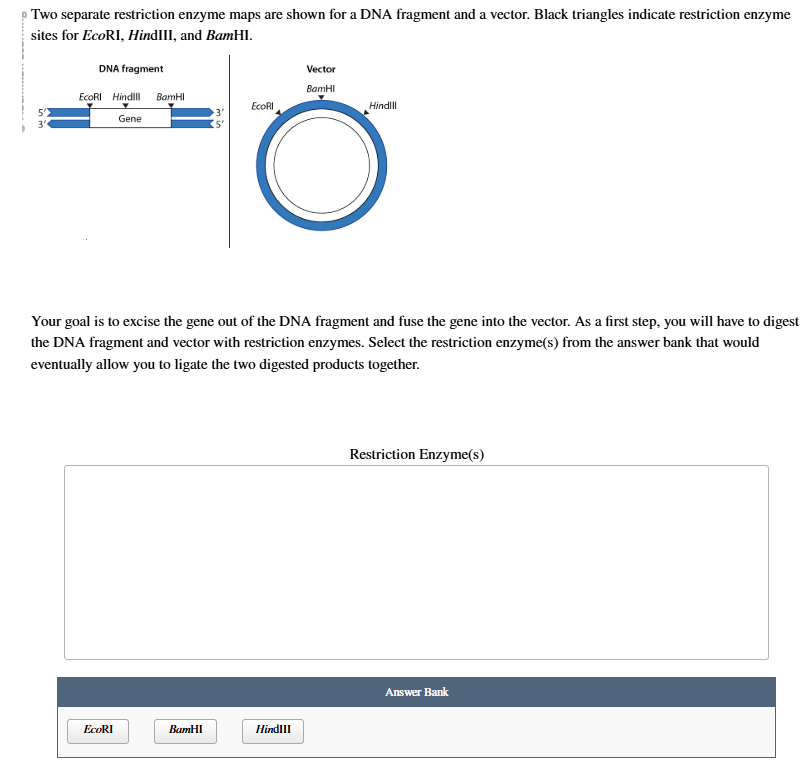 Solved Two separate restriction enzyme maps are shown for a | Chegg.com