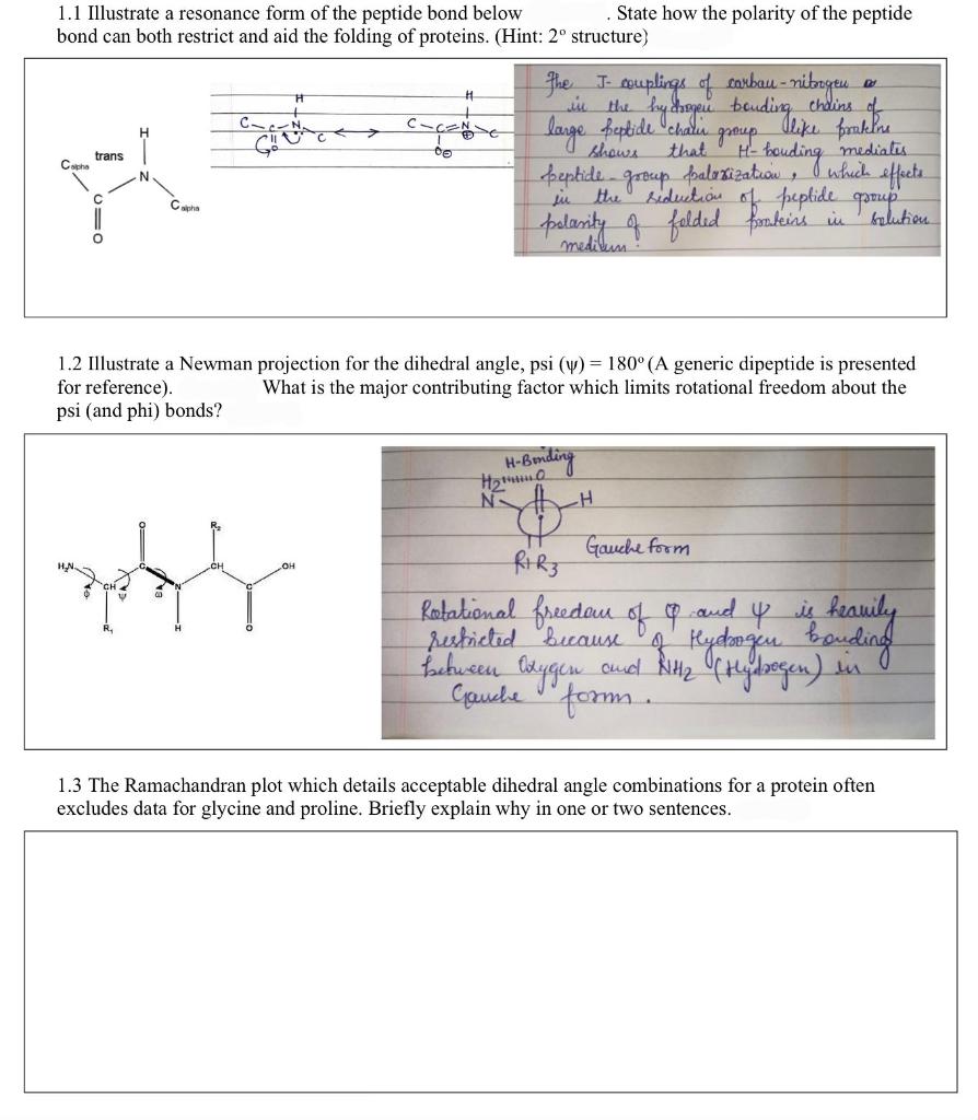 Solved 1.1 Illustrate a resonance form of the peptide bond | Chegg.com