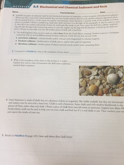 Solved Activity 6 4 Biochemical And Chemical Sediment And