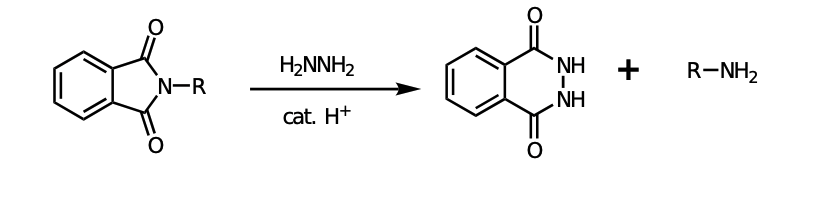 Solved H2NNH2 로로 + + R-NH2 N-R NH cat. H+ | Chegg.com