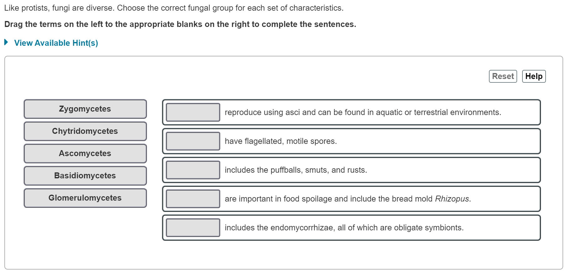 Quiz 3 Plant And Fungus-like Protists