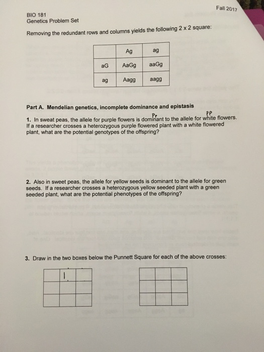Solved Fall 2017 BIO 181 Genetics Problem Set Removing the | Chegg.com