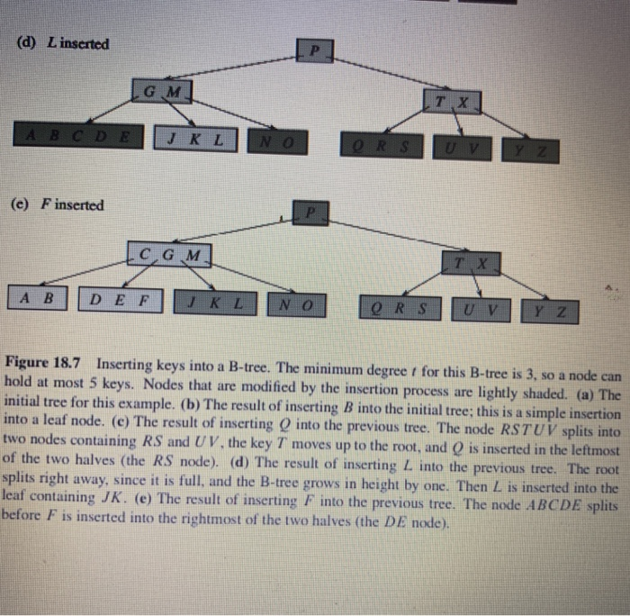 Solved Exercise A2 (20 points) Follow the B-TREE-INSERT | Chegg.com