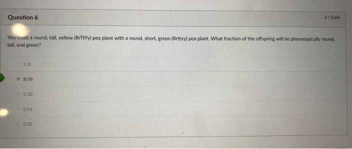 Solved Question 6 2/2 pts You cross a round, tall, yellow | Chegg.com