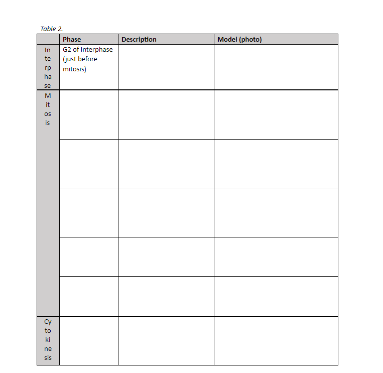 Solved Description Model (photo) Table 2. Phase In G2 of | Chegg.com