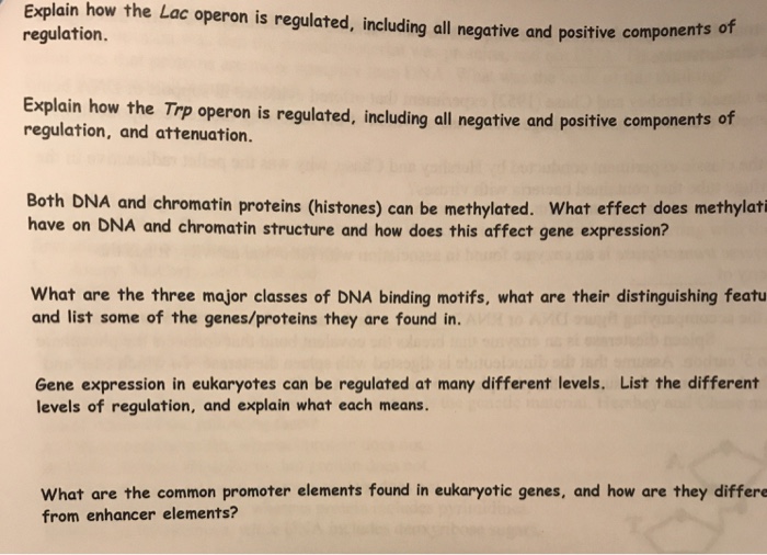 Solved Explain how the Lac operon is regulated, including | Chegg.com
